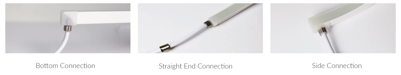 Product Spotlight - LED Neon Flex