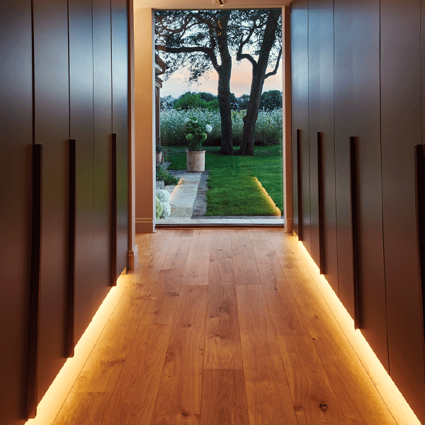 Product Spotlight - LED Neon Flex