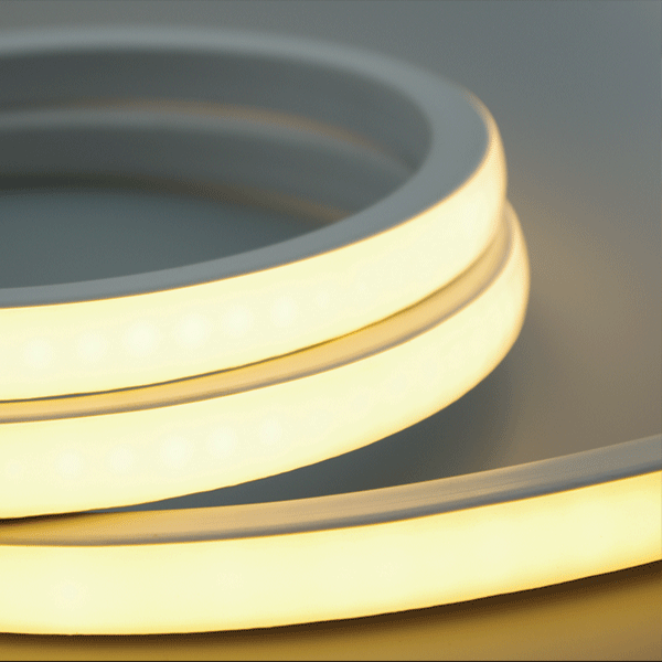 Product Spotlight - LED Neon Flex